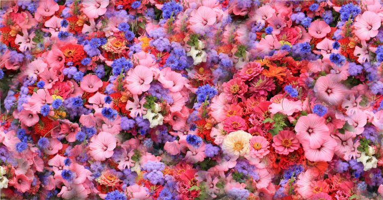 Frasi, aforismi e citazioni sulla primavera – Frasi.it Frasi, aforismi e citazioni sulla primavera – Frasi.it